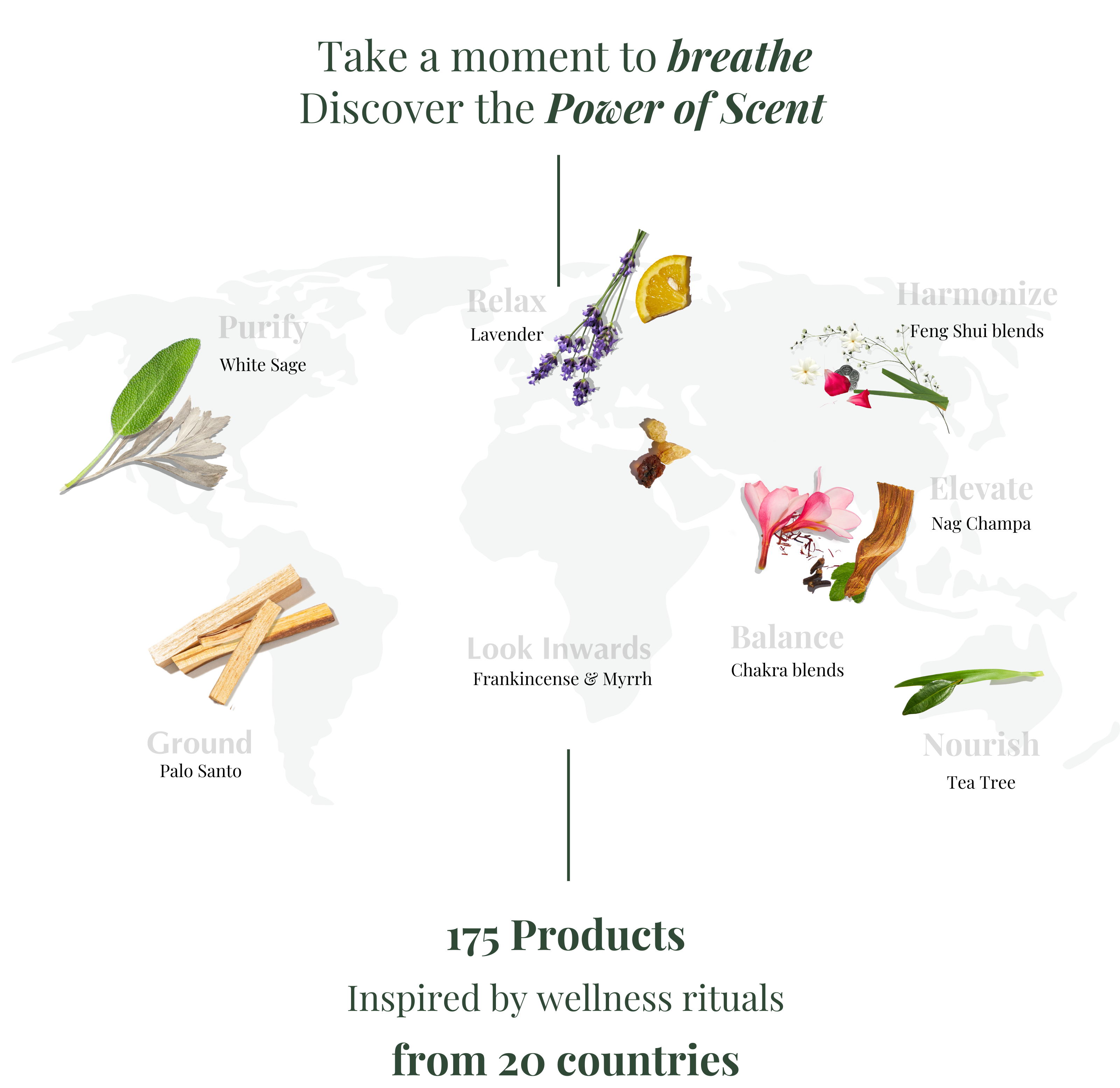 Discover the power of Scent — Aromafume - Discover the Power of Scent (IN)